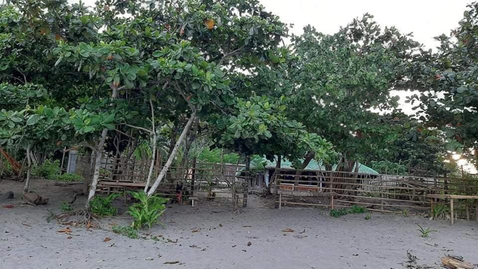 Zeah's Beach Place - Sorsogon City, the Philippines | Best Prices 2024 ...